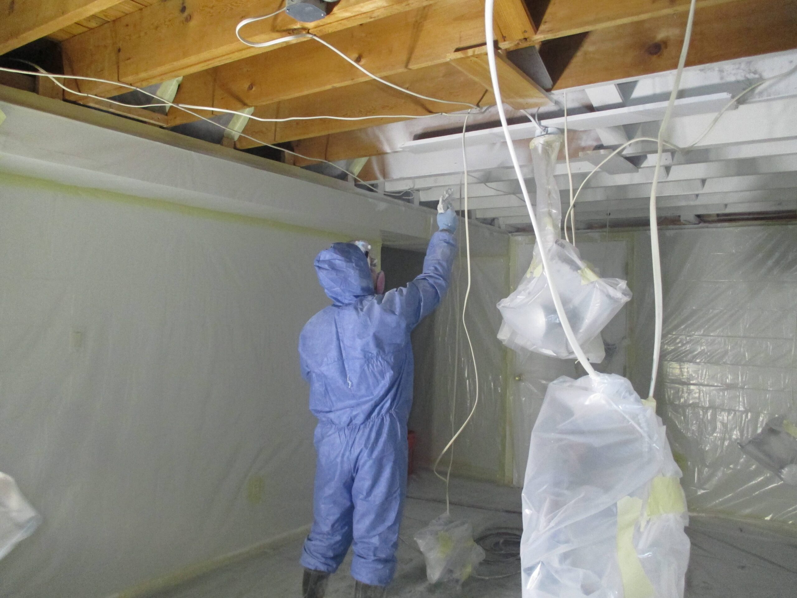 Best Mold Encapsulation Services in Cocoa, FL | Inspection & More